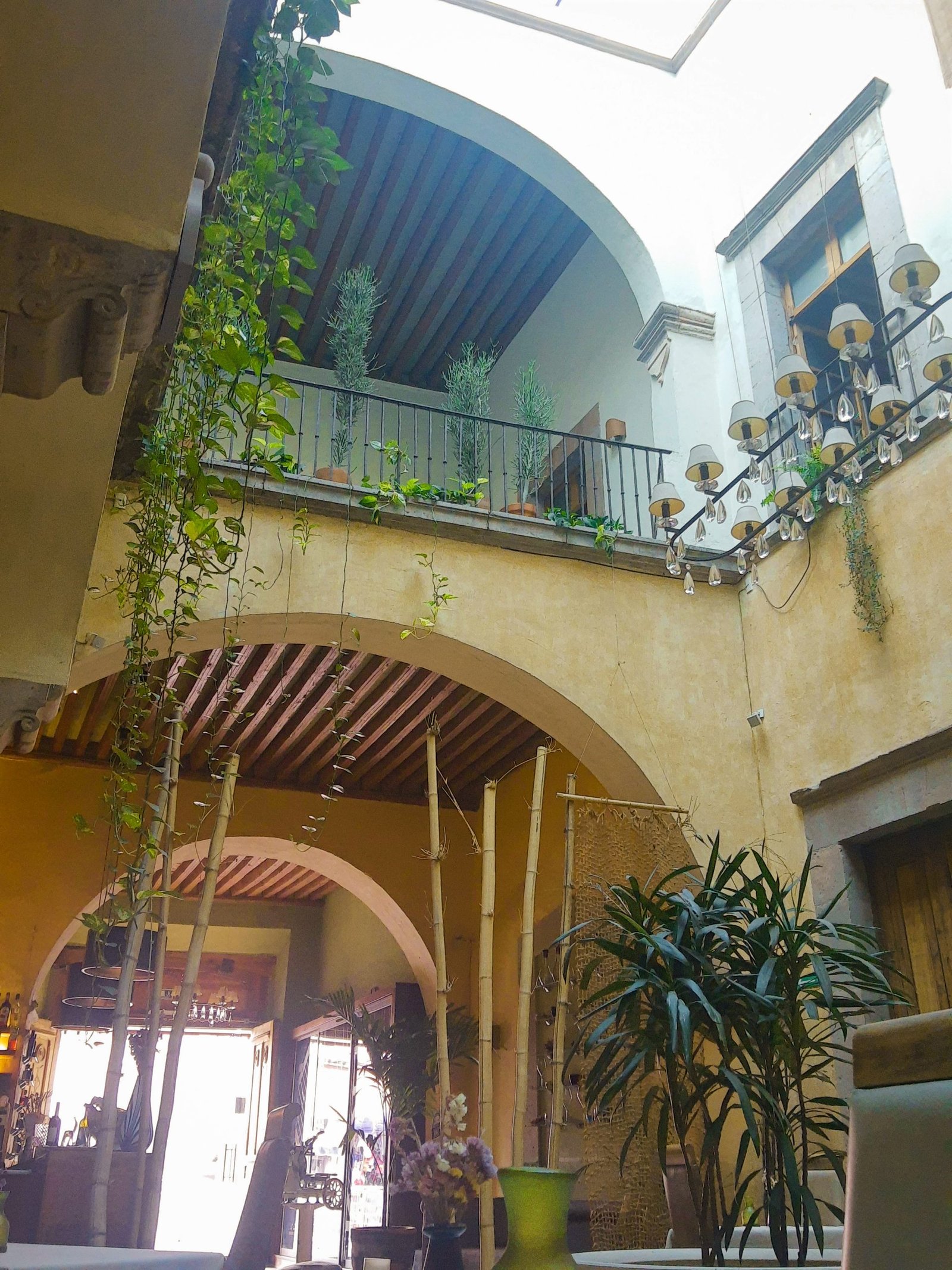 Di Vino - The Italian Restaurant - DiVino